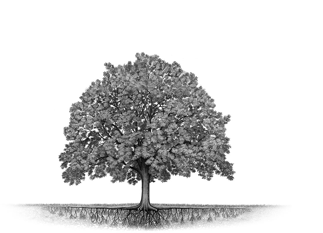 Ouverture des abonnements pour notre saison d’hiver 2016/2017 - Théâtre ...