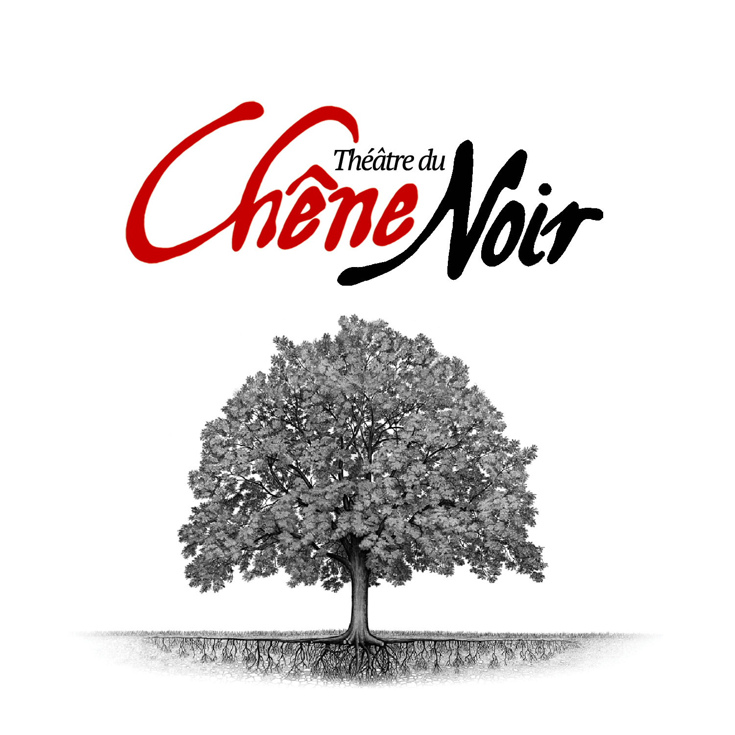 Historique du Théâtre - Théâtre du Chêne Noir