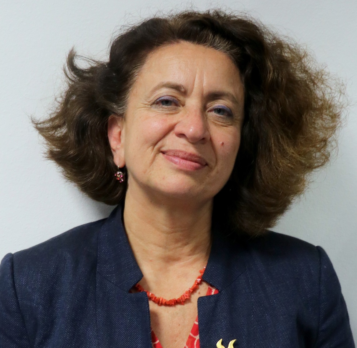 Ghada Hatem-Gantzer - Traditions néfastes, violences et santé des ...